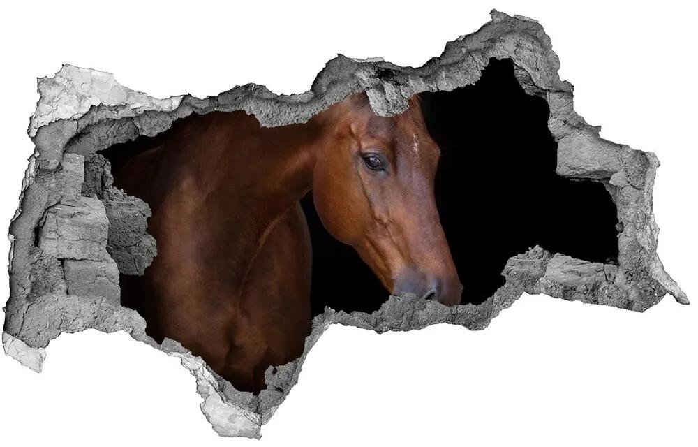 Wallmuralia Díra 3D fototapeta na stěnu Hnědý kůň 95x73 cm