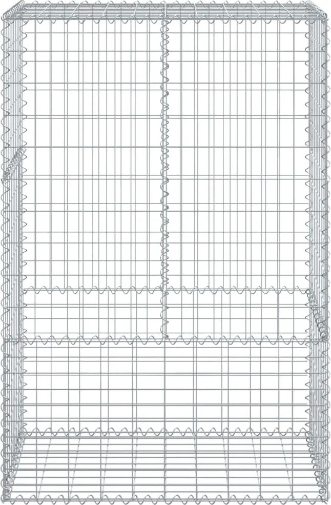 Gabionový koš s víkem 100 x 50 x 150 cm pozinkované železo 3295154