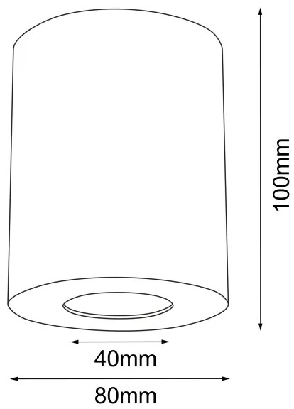 Brosline 1257 - Bodové svítidlo POINT 1xGU10/10W/230V IP44 bílá