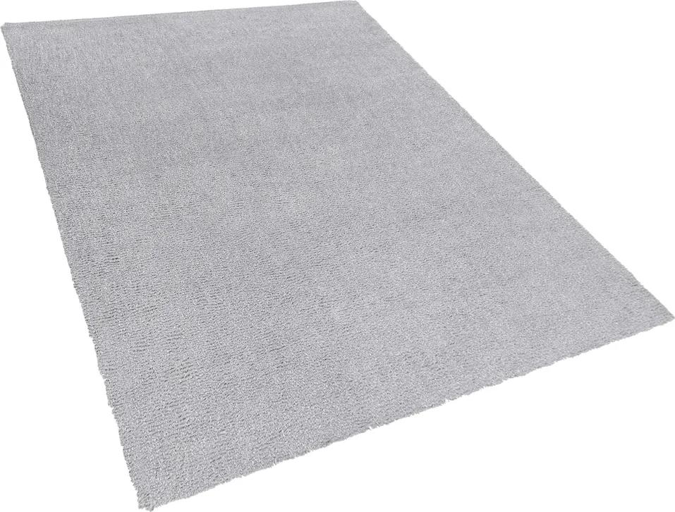 Světle šedý koberec 160x230 cm DEMRE