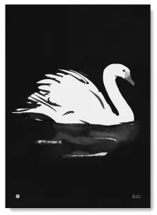 Plakát Swan velký 50x70 cm Teemu Järvi Illustrations