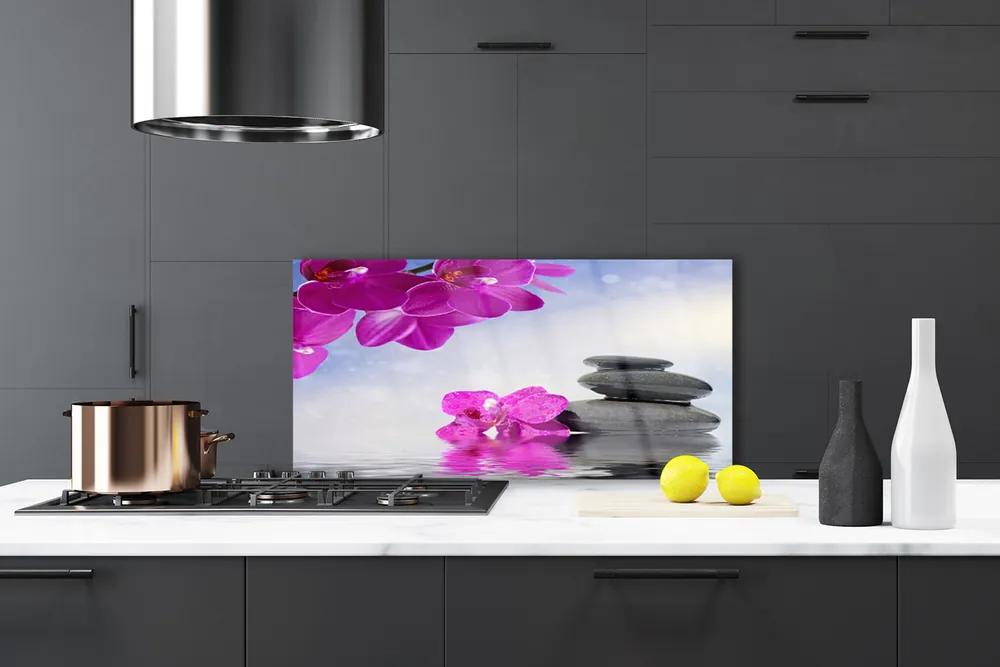Kuchyňský skleněný panel Květiny Kameny Rostlina 100x50 cm