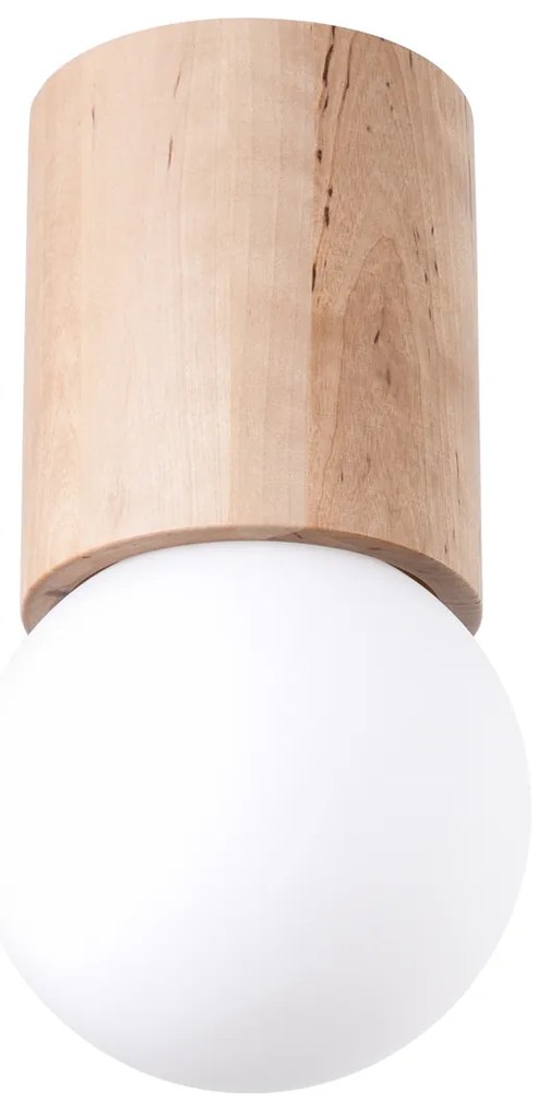 Sollux Lighting Stropní svítidlo BOOMO 12