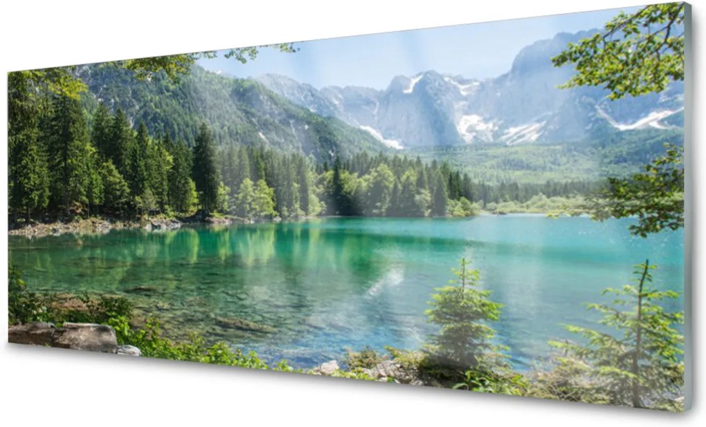 Plexisklo obraz Hory Jezero Les Příroda