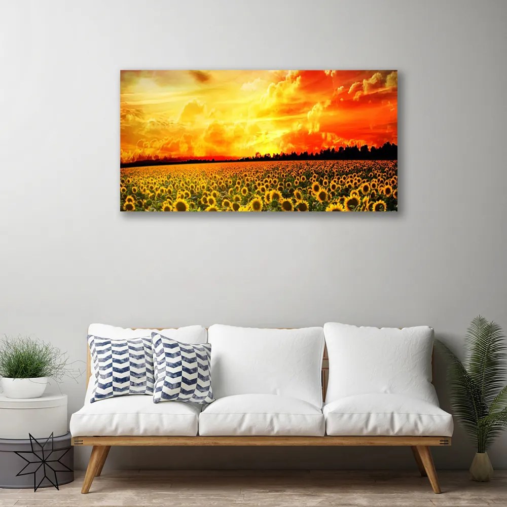 Obraz na plátně Louka Slunečnice Květiny 140x70 cm