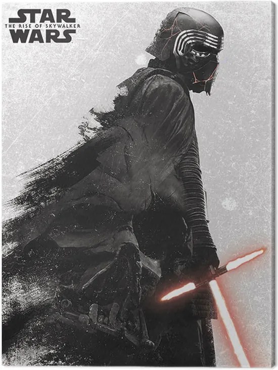 Obraz na plátně Star Wars: Vzestup Skywalkera - Kylo Ren And Vader, (30 x 40 cm)