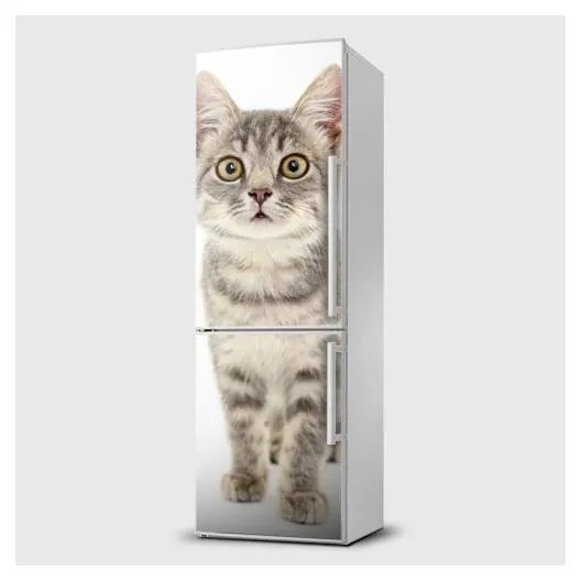 E-shop24, Pi5SL851, Rozměr 65x120 cm, Fototapeta samolepící na lednice - Kočka