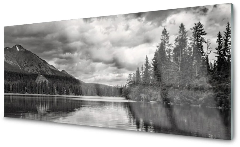 Plexisklo obraz Hora Les Jezero Příroda