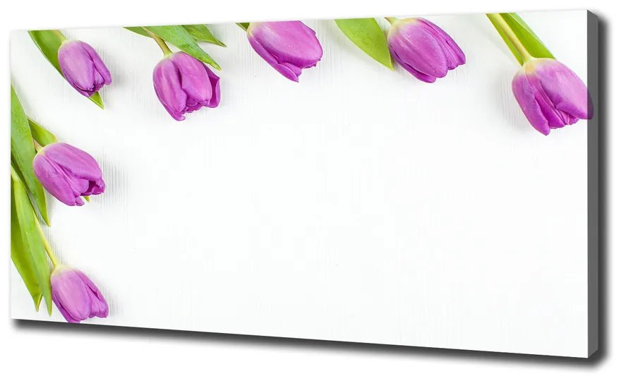 Wallmuralia Moderní fotoobraz canvas na rámu Fialové tulipány 140x70 cm