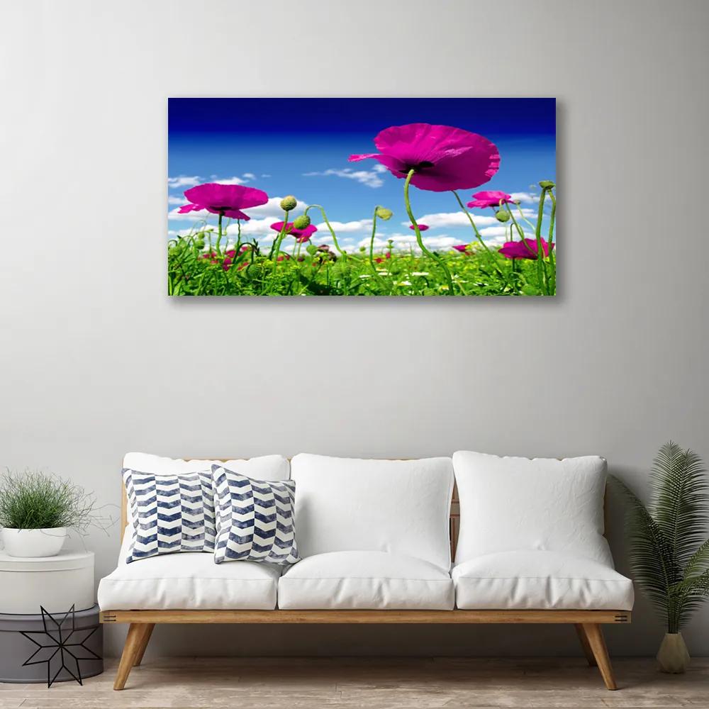 Obraz na plátně Louka Květiny Nebe Příroda 120x60 cm