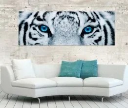 Moderní obraz na zeď - Tiger, 140 x 50 cm