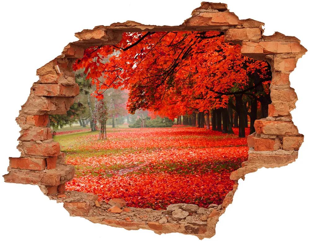 Wallmuralia Samolepící díra na stěnu Stromy podzim 90x70 cm