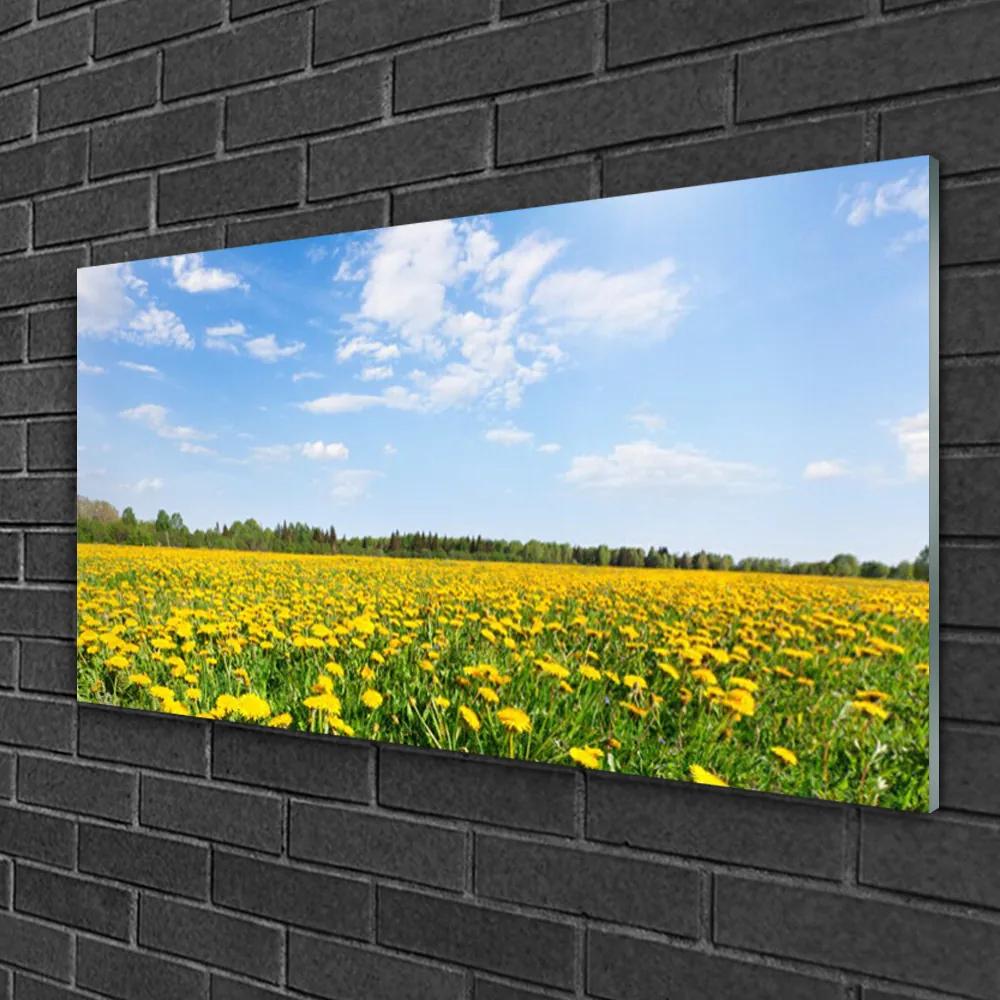 Obraz na skle Pampeliška Krajina 100x50 cm