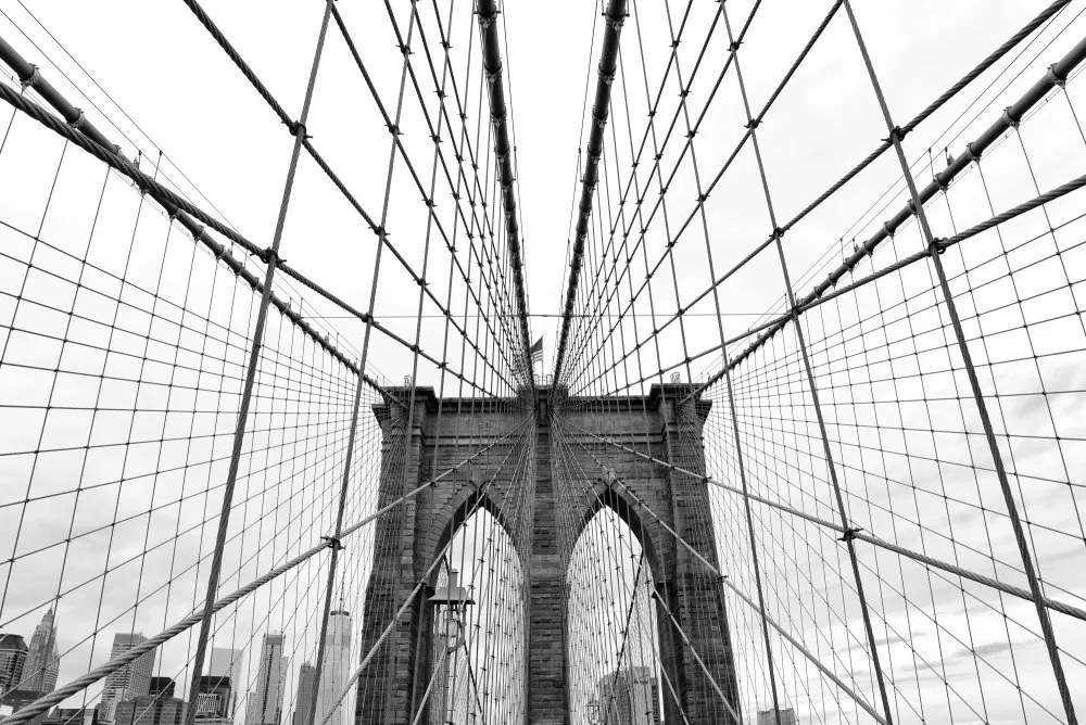 Fototapeta Brooklyn Bridge Ny Hladký vinyl 135x90