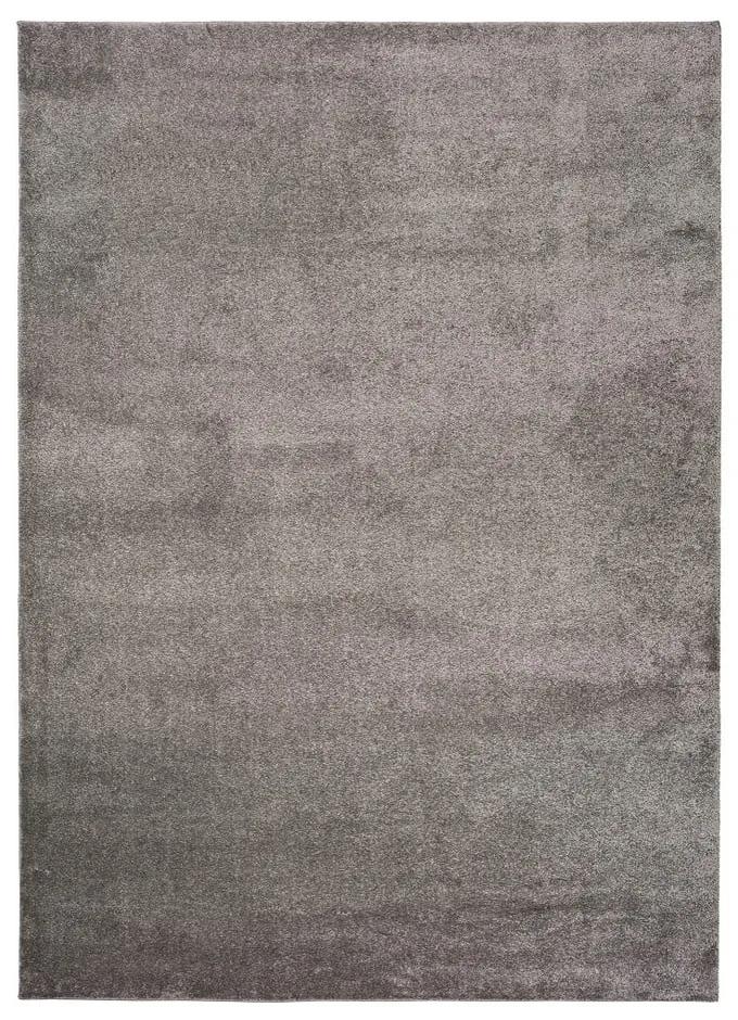 Tmavě šedý koberec Universal Montana, 140 x 200 cm | BIANO
