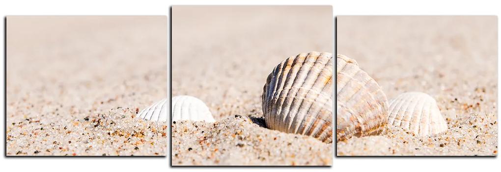 Obraz na plátně - Moře a mušle - panoráma 5126D (150x50 cm)