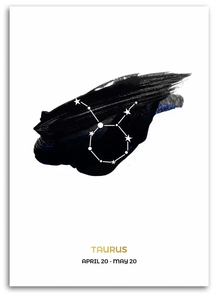 Gario Obraz na plátně Znamení zvěrokruhu - býk Rozměry: 40 x 60 cm