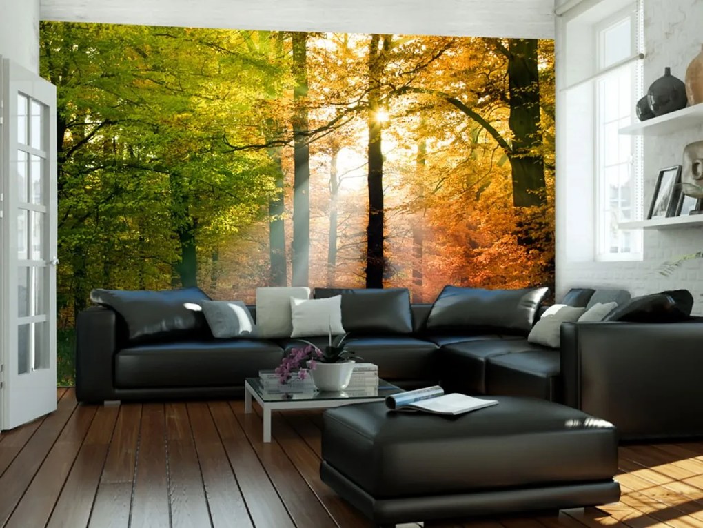 Samolepicí fototapeta podzimní les Velikost (šířka x výška): 392x309 cm