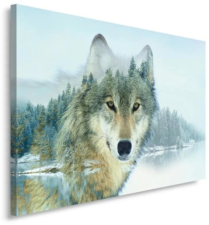 CARO Obraz na plátně - Wolf On The Lake 80x60 cm
