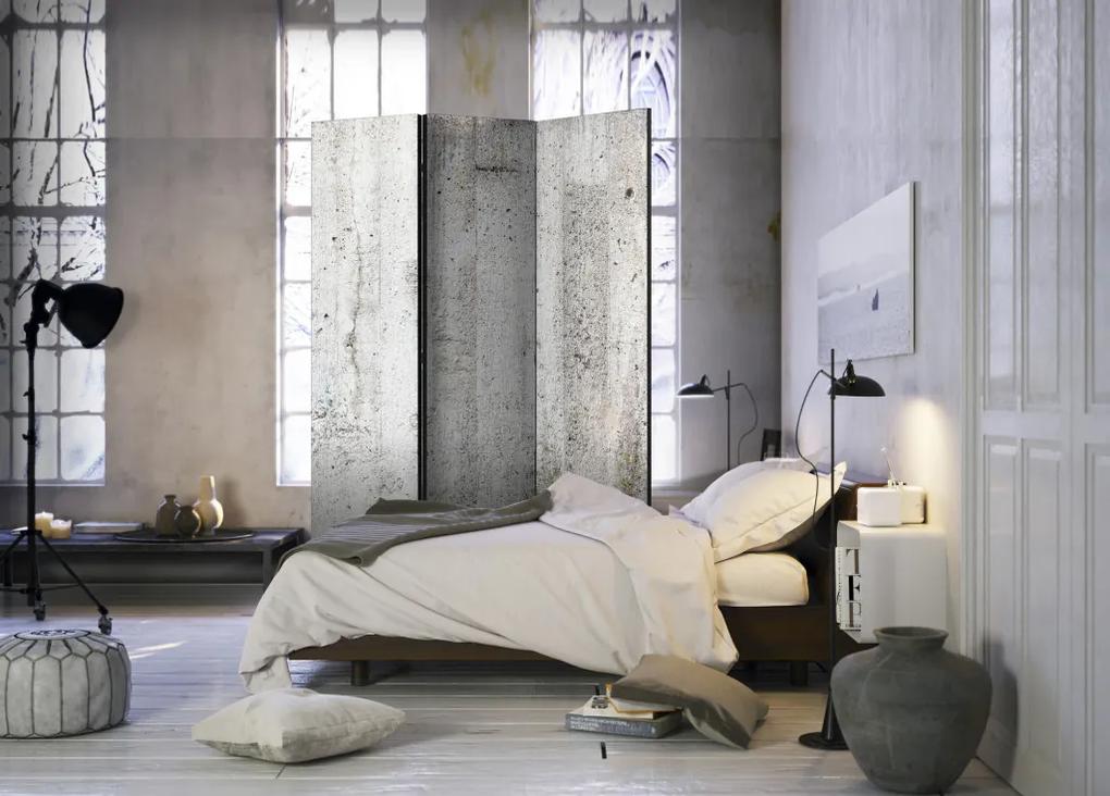 Pokojová zástěna Šedý císař - architektonická textura v barvě šedého betonu
