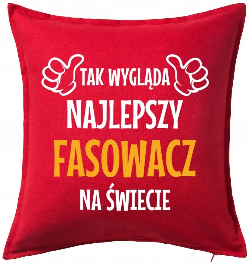 IKEA NEJLEPŠÍ FASOVNÍK NA SVĚTĚ polštář dárek