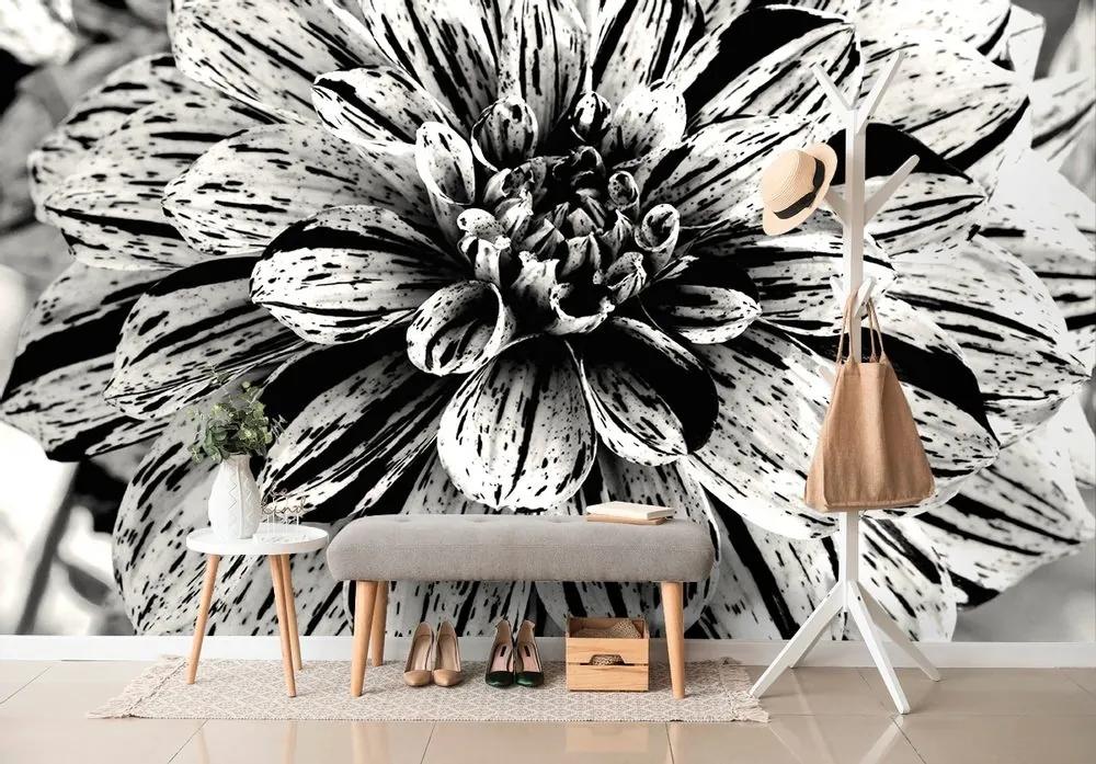 Tapeta rozkvetlý květ černobílý - 150x100 cm