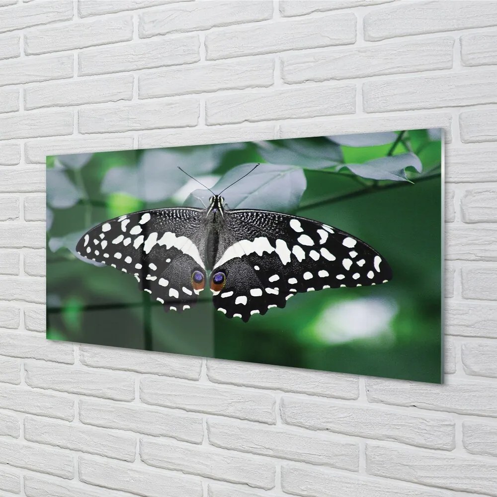 Obraz na skle Barevný motýl listí 120x60 cm