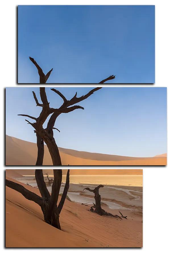 Obraz na plátně - Mrtvý strom v dunách - obdélník 7130C (120x80 cm)