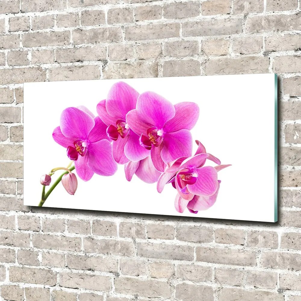 Wallmuralia Fotoobraz na skle Růžová orchidej 140x70 cm