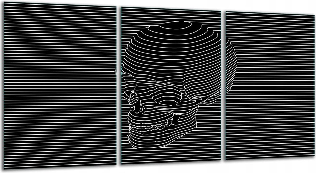 Skleněná Deska Na Krájení Deska 3x30x52 Lebka Tvrzené Sklo Kuchyně 7v1