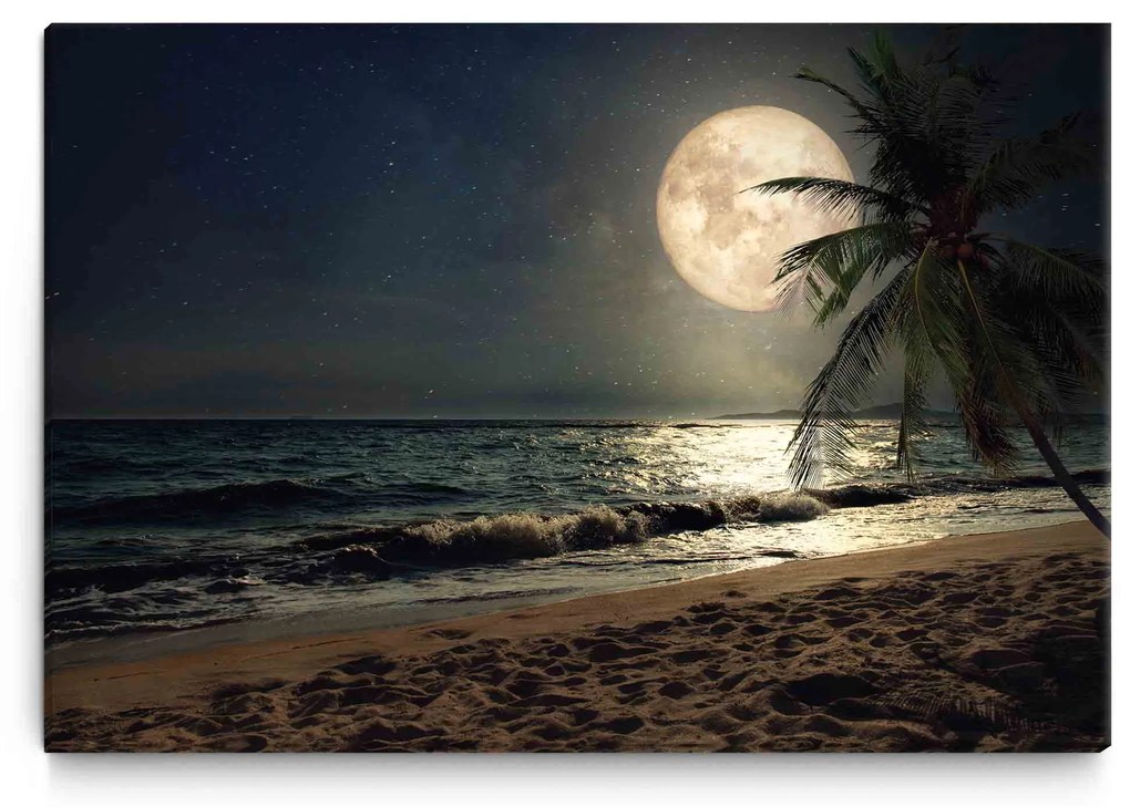 Malvis ® Obraz Pláž s palmou při měsíci Velikost: třídílný obdélník - 120x80 cm