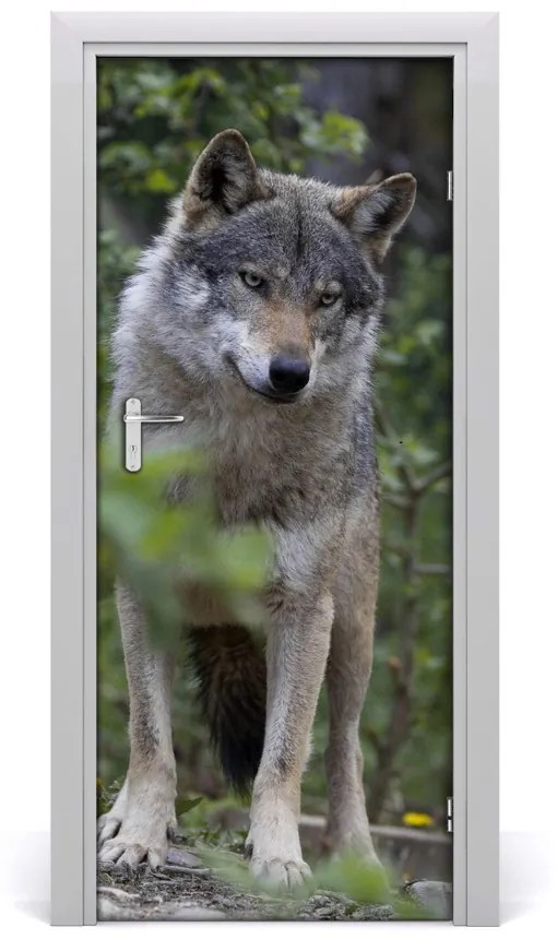 Samolepící fototapeta na dveře Vlk v lese 75x205 cm
