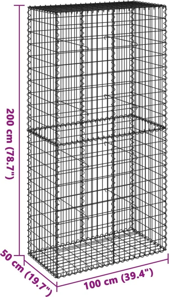 Gabionový koš s víkem 100 x 50 x 200 cm pozinkované železo 3295166