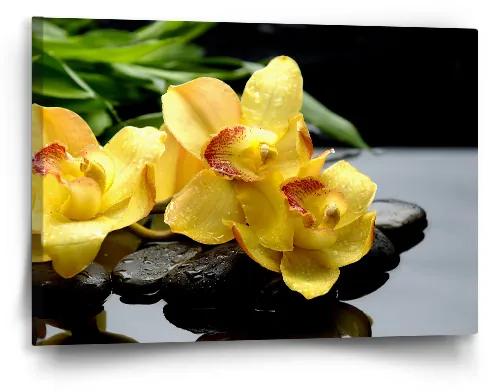 Obraz SABLIO - Žluté orchideje 60x40 cm