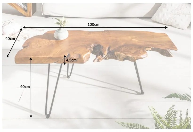 Massive home | Odkládací stolek WILD 100 CM masiv teak
