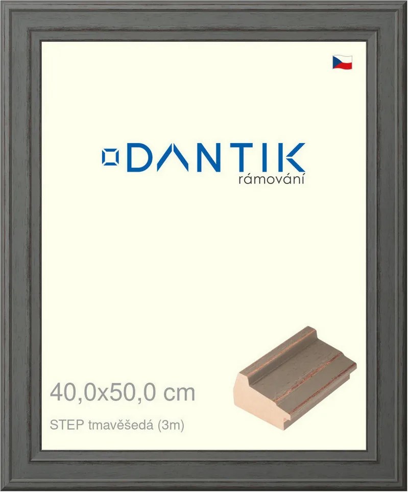 DANTIK rámeček 40x50 | STEP tmavěšedá (Plexi Čiré)