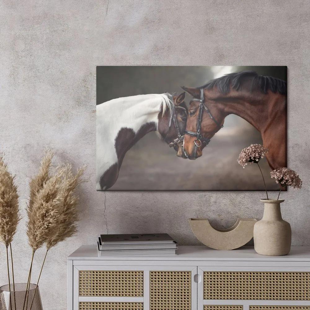 Obraz Krásné Koně V Lese Nedostatek Nedostatek Přírodní plátno 90x60