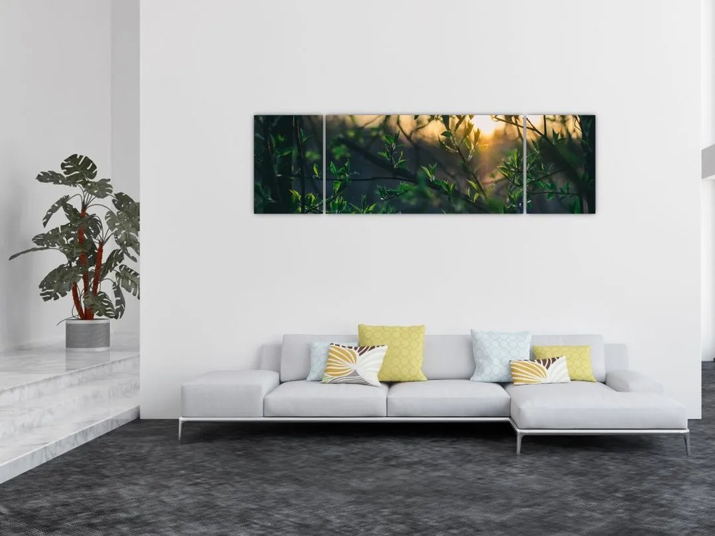 Obraz prosvítajícího slunce skrz větvičky stromů (170x50 cm)