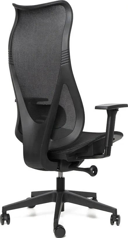 Kancelářská ergonomická židle Sego HARMONY — síť, černá Sego