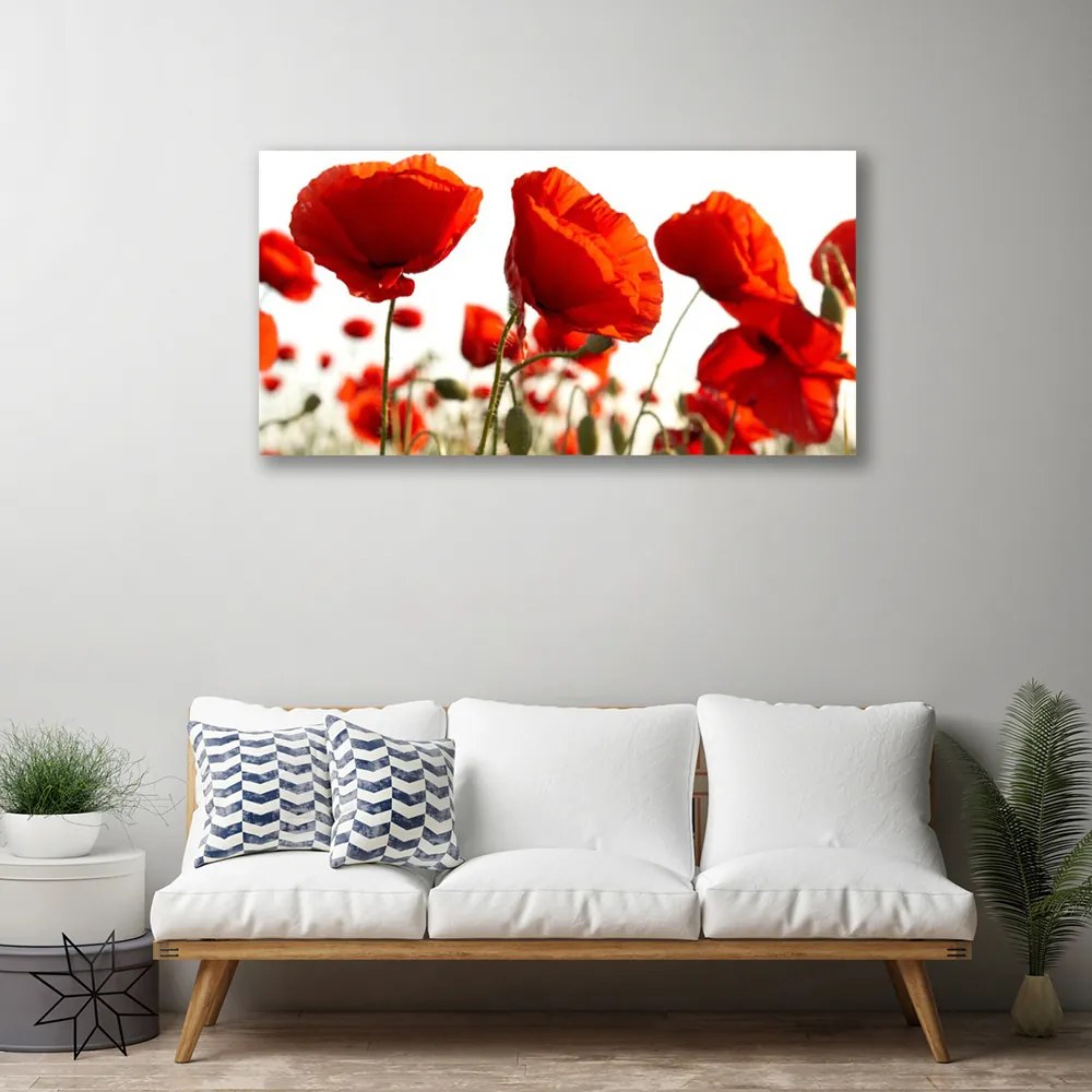 Obraz na plátně Tulipány Květiny 120x60 cm