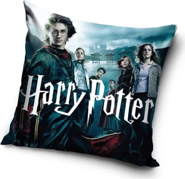 Carbotex Povlak Harry Potter a Čarodějovi učni 40x40 cm