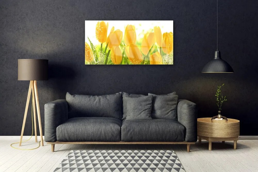 Obraz na skle Tulipány Květiny Rostlina 120x60 cm