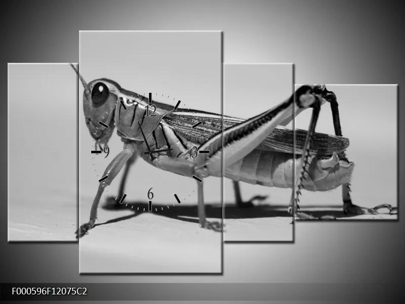 Obraz kobylky (120x75 cm), 40 dalších rozměrů