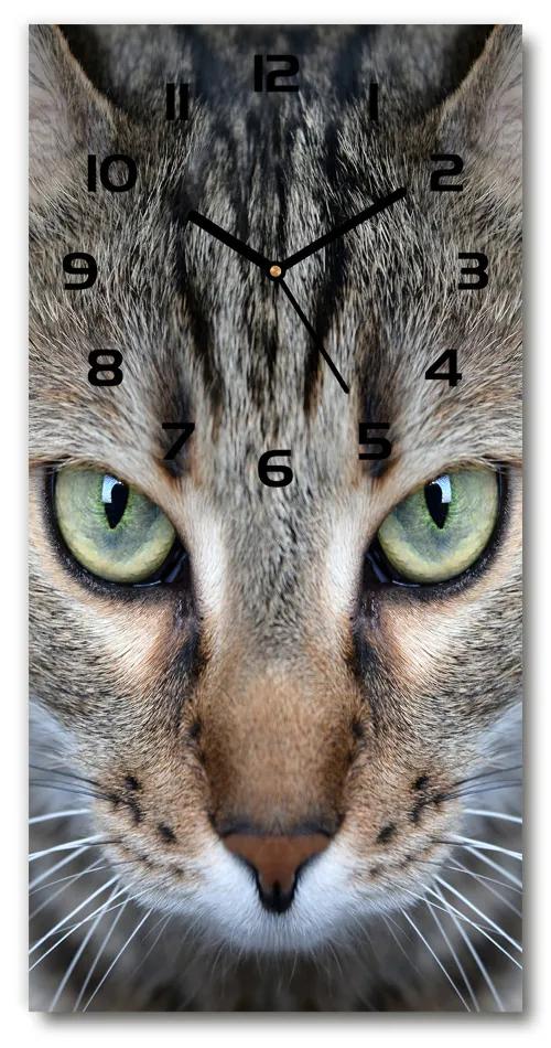 Wallmuralia Moderní hodiny nástěnné Oči kočky 30x60 cm