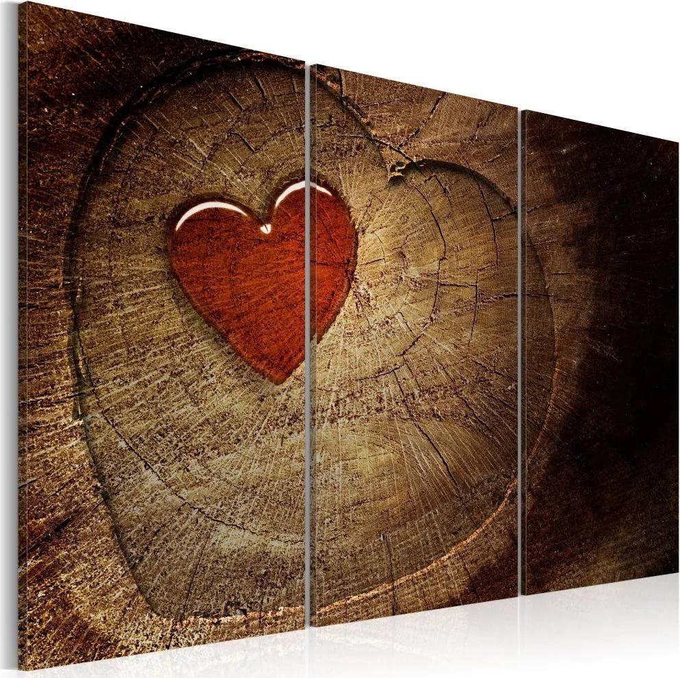 Obraz na plátně Bimago - Old love does not rust - 3 pieces 60x40 cm