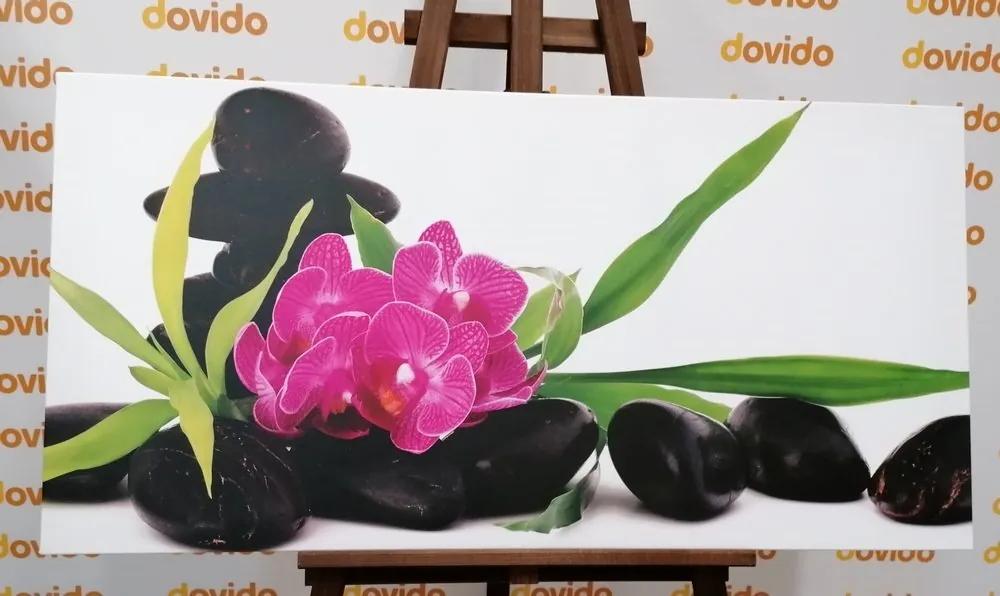 Obraz fialová orchidej v Zen zátiší - 100x50 cm