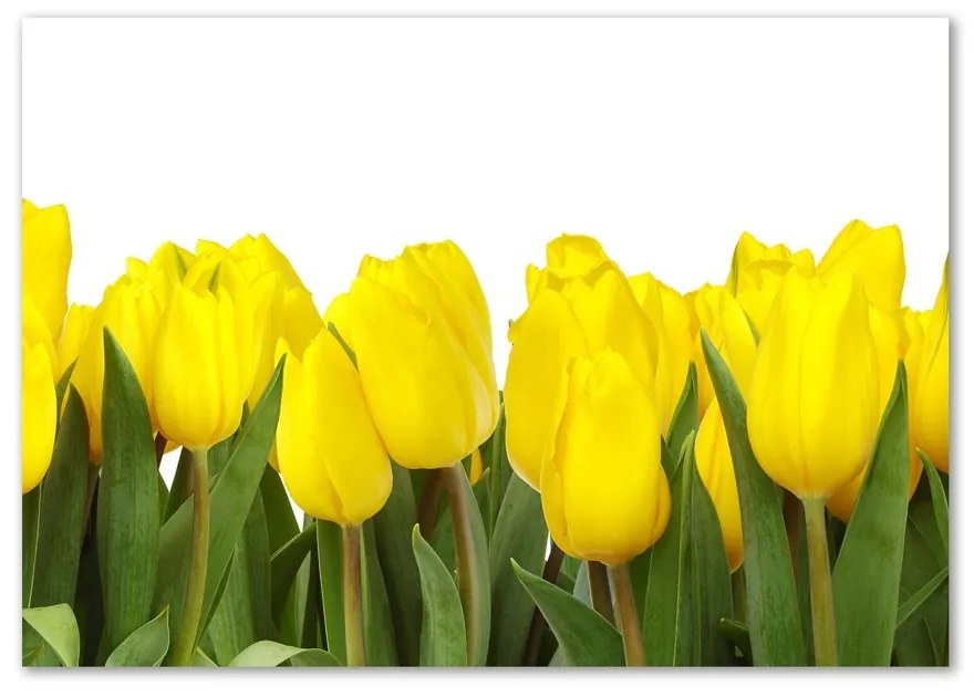 Wallmuralia Foto obraz akrylový do obýváku Žluté tulipány 100x70