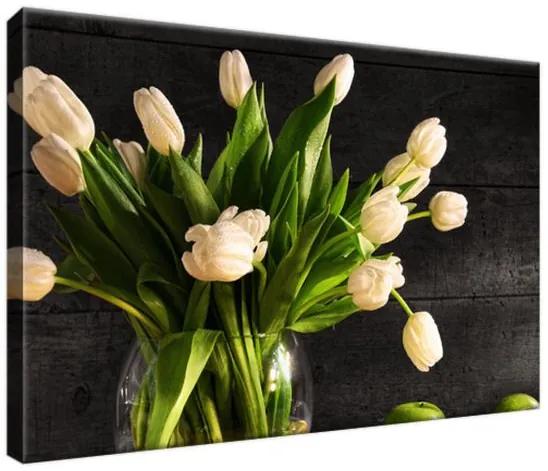 Obraz na plátně Krémové tulipány 30x20cm 1392A_1T