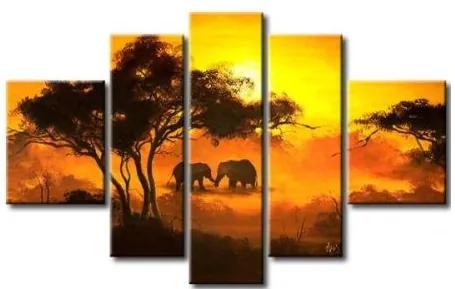 Vícedílné obrazy - Dva sloni