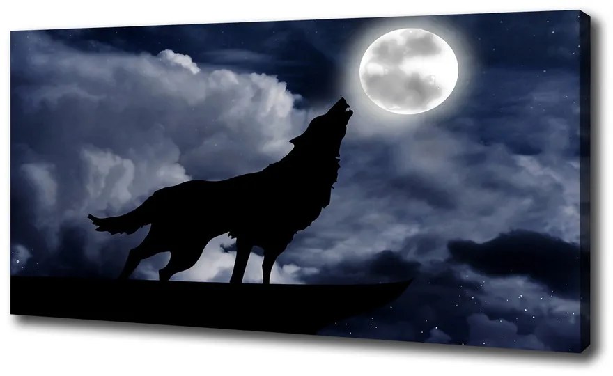 Wallmuralia Foto obraz na plátně do obýváku Vyjící vlk úplněk 100x50 cm